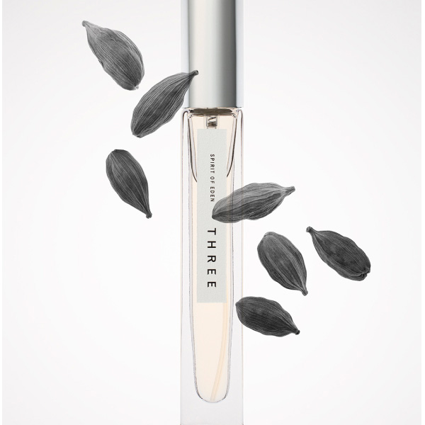 THREE ESSENTIAL SCENTS BEYOND THE RAIN | THREE（スリー）